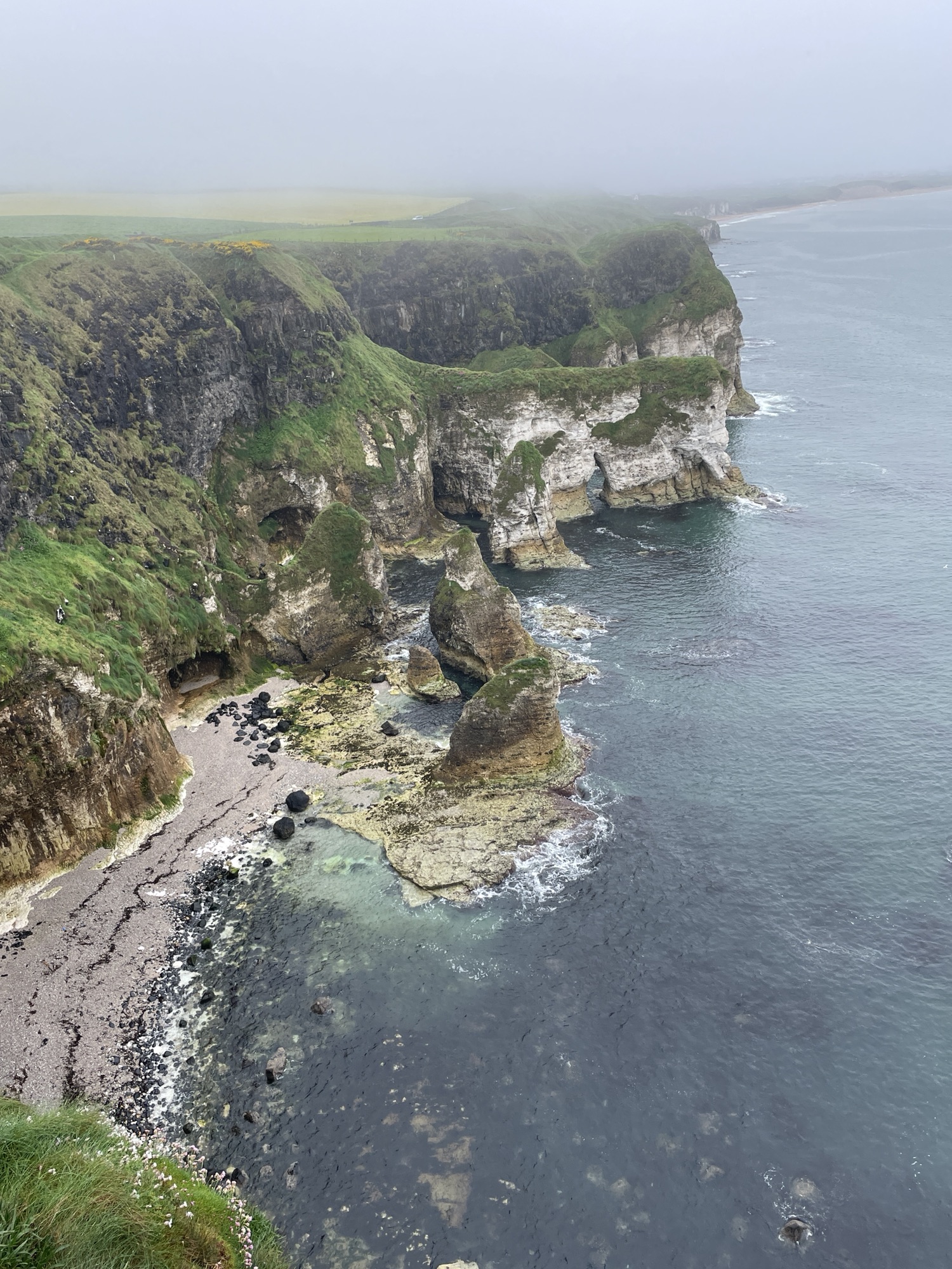Belfast – Giant’s Causeway – Derry – Donegal – Sligo – DIANE LIVINGSTON